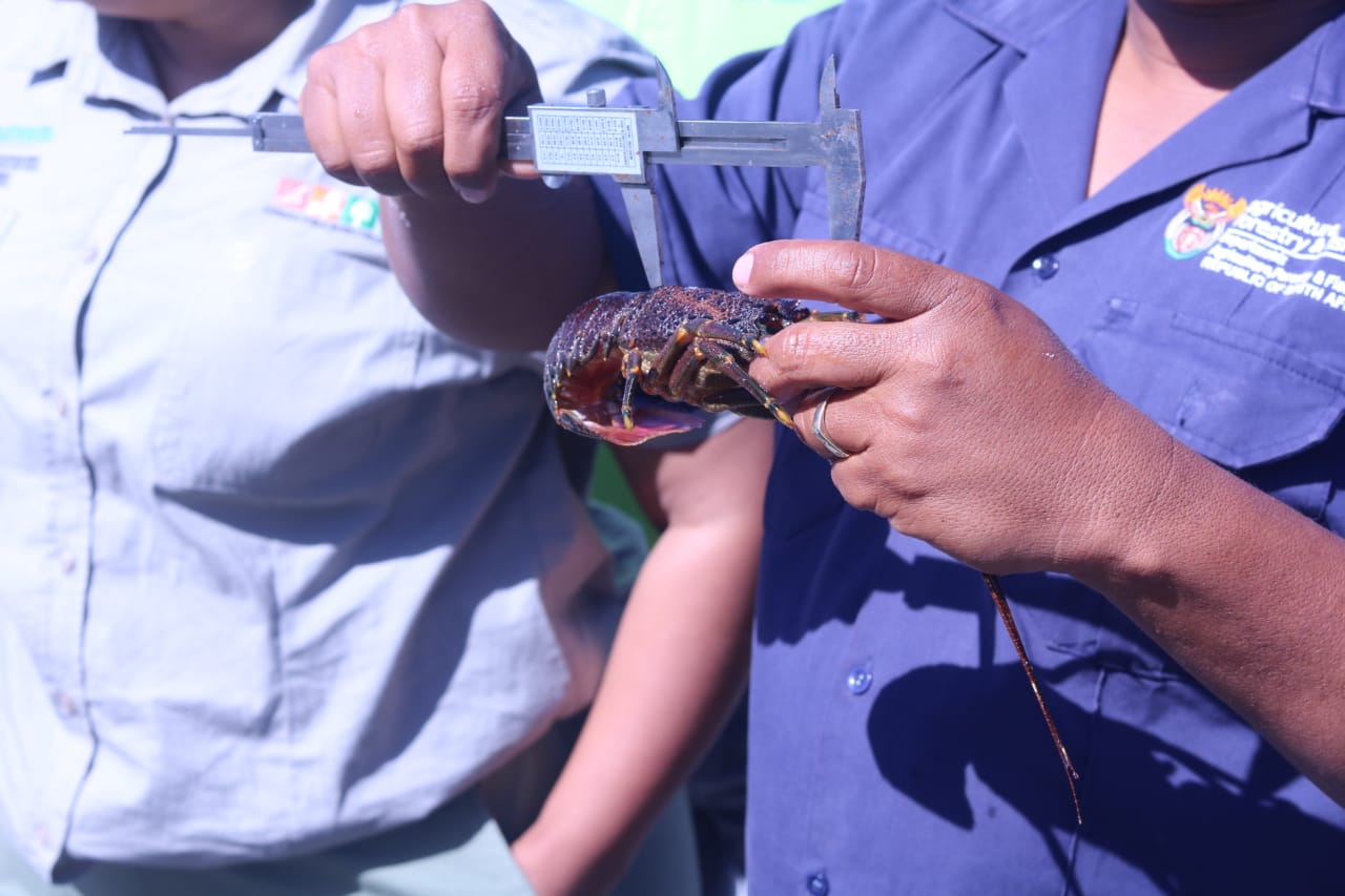 Multidissiplinêre operasie Phakisa lewer suksesse op – Radio NFM 98.1