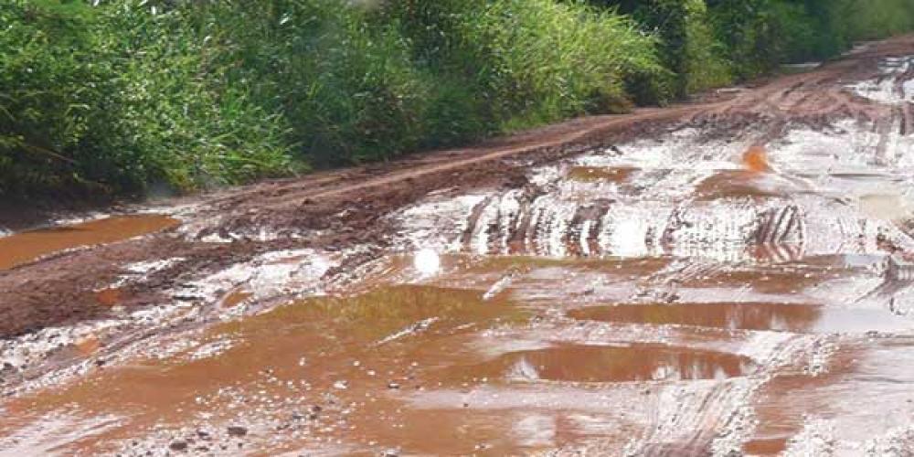 Departement van Paaie en Openbare Werke sal ‘n verslag oor die toestand ...