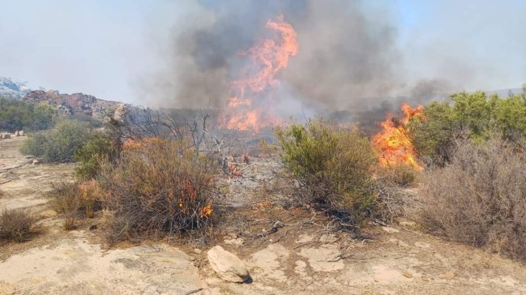 Veldbrand geblus in Nieuwoudtville in die Hantam munisipaliteit – Radio ...